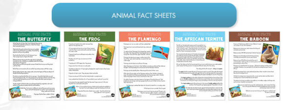 Animal Fact Sheets image » Kat Kronenberg